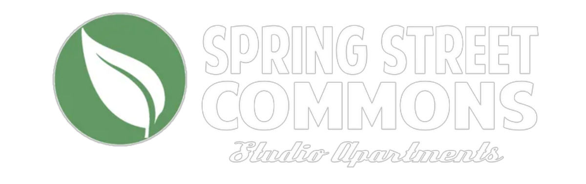 Spring Street Commons, Niagara Falls, NY - Live Good Carbon Co.